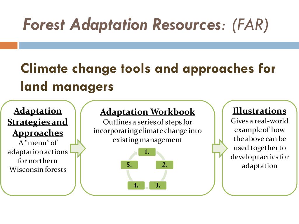 PPT - Linda Parker Chequamegon-Nicolet Forest Ecologist National Forest ...