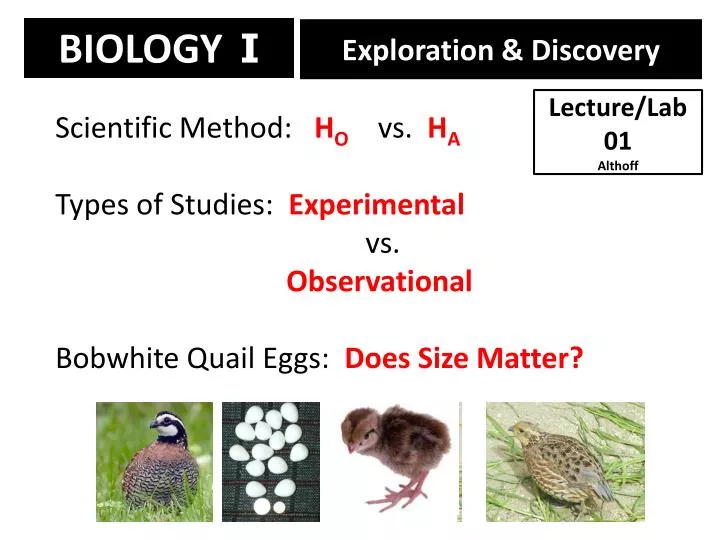 PPT - BIOLOGY I PowerPoint Presentation, free download - ID:2339440