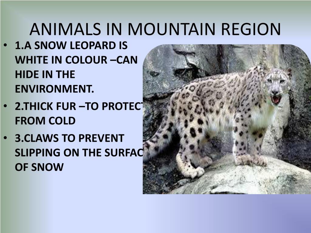 PPT - LIVING ORGANISMS AND THEIR SURROUNDINGS PowerPoint Presentation ...