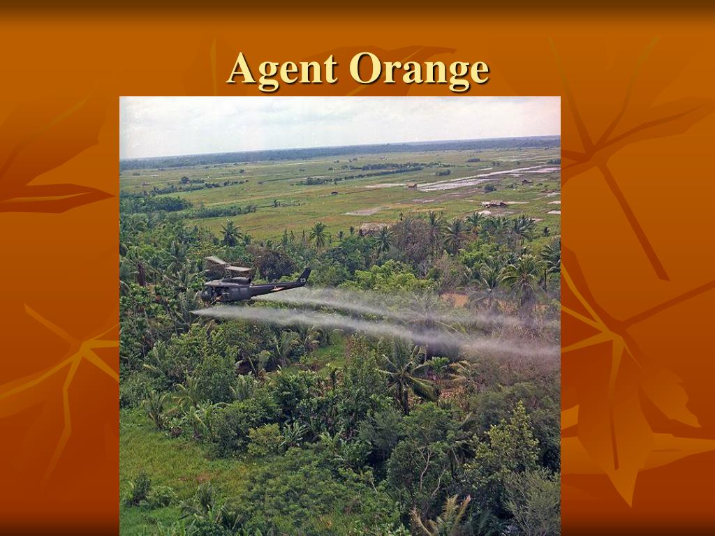 PPT - The Vietnam War 1965-1974 PowerPoint Presentation, free download ...