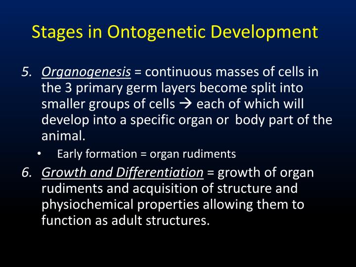 PPT - Embryology PowerPoint Presentation - ID:2341424