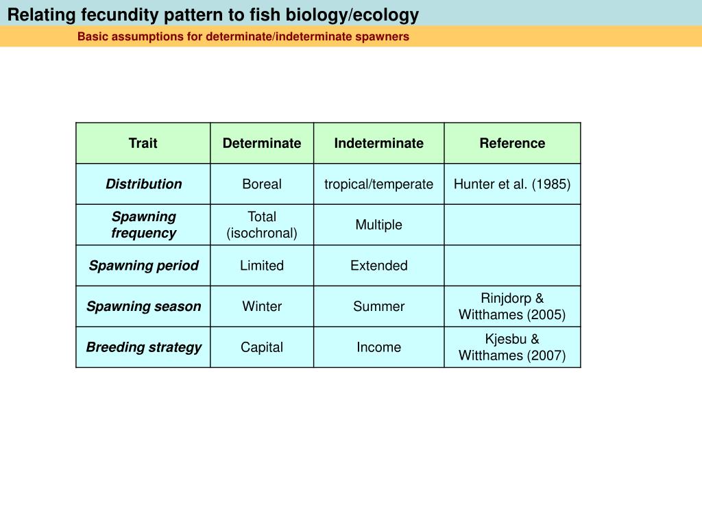 PPT - ICHTHYOLOGY LAB. School of Biology, Aristotle University of ...