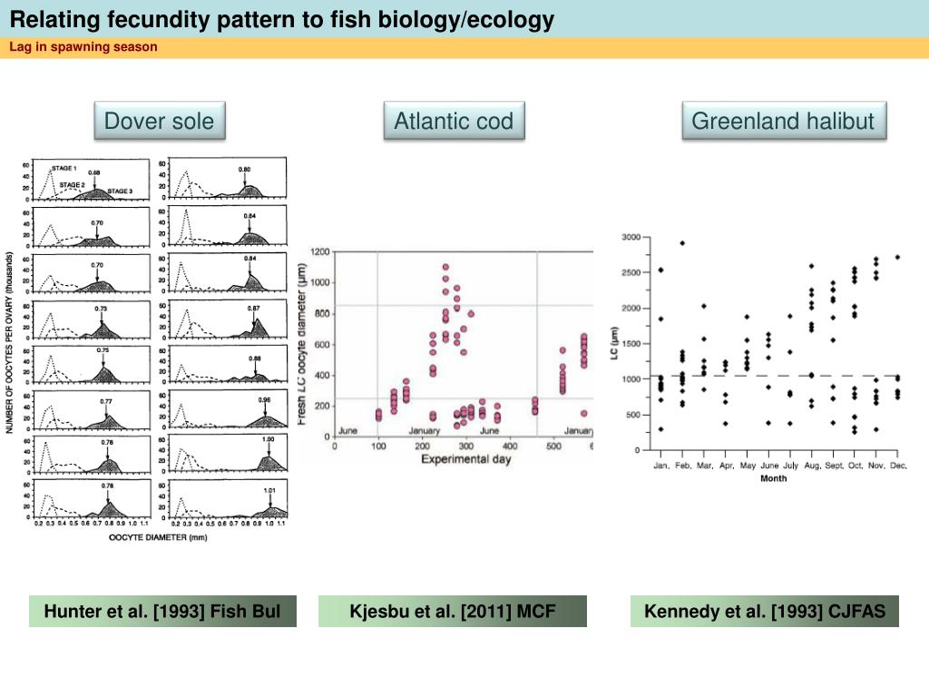 PPT - ICHTHYOLOGY LAB. School of Biology, Aristotle University of ...