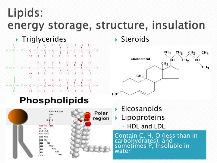 PPT - Human Anatomy and Physiology Basic Chemistry Unit 2 PowerPoint ...