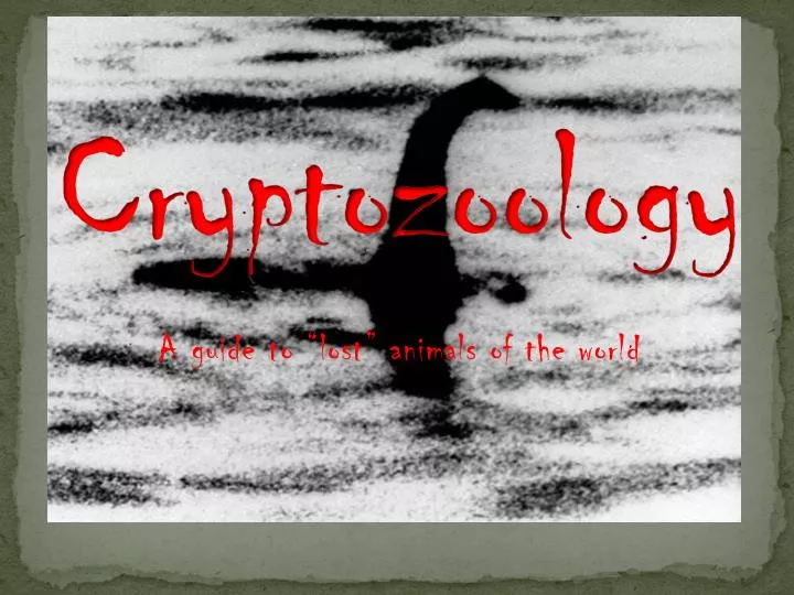 PPT - Cryptozoology PowerPoint Presentation, free download - ID:2342669