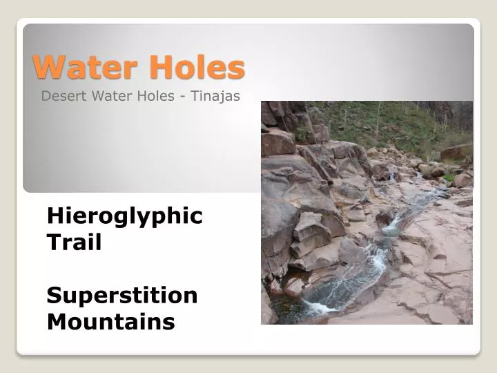 PPT - Water Holes PowerPoint Presentation, free download - ID:2343157
