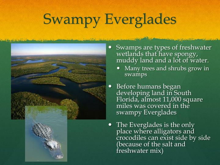 PPT - Landforms PowerPoint Presentation - ID:2343235