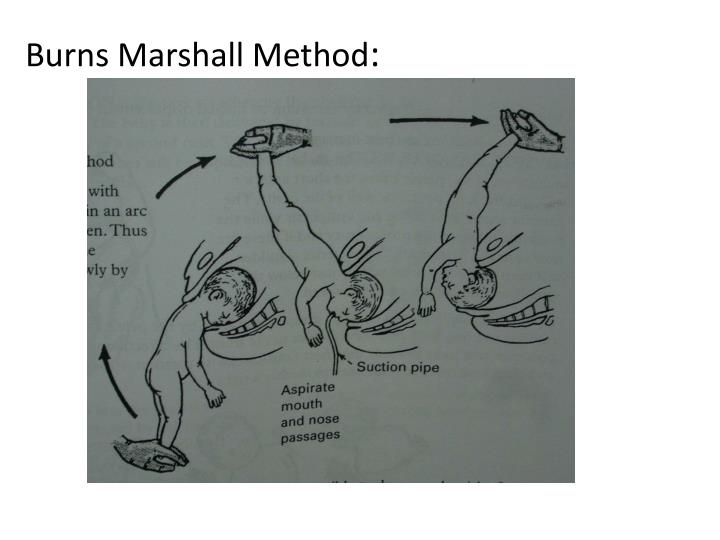 PPT - Malpresentation Malposition PowerPoint Presentation - ID:2343401