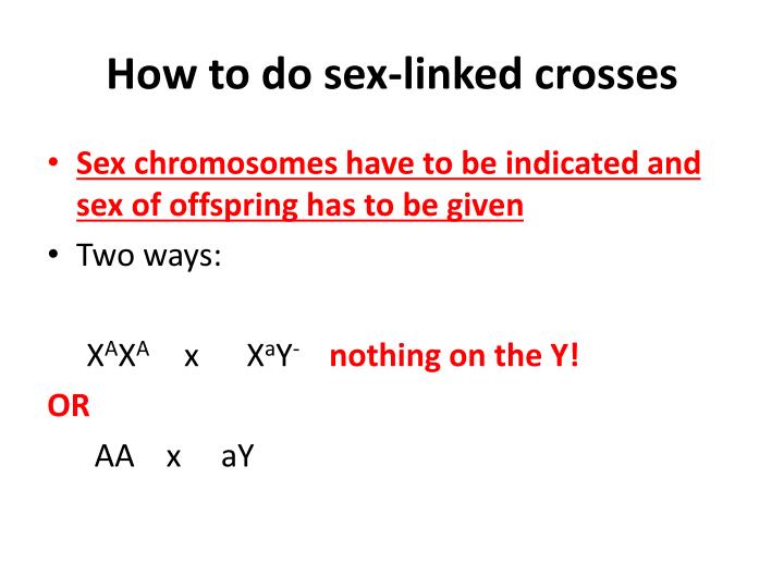 Ppt The Chromosomal Theory Of Inheritance Powerpoint Presentation Id2343440