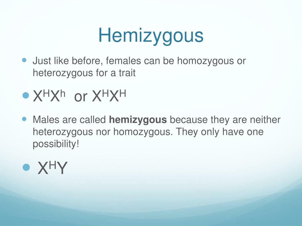 Ppt Sex Linkage Powerpoint Presentation Free Download Id 2343689