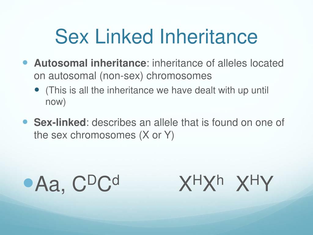 Ppt Sex Linkage Powerpoint Presentation Free Download Id 2343689