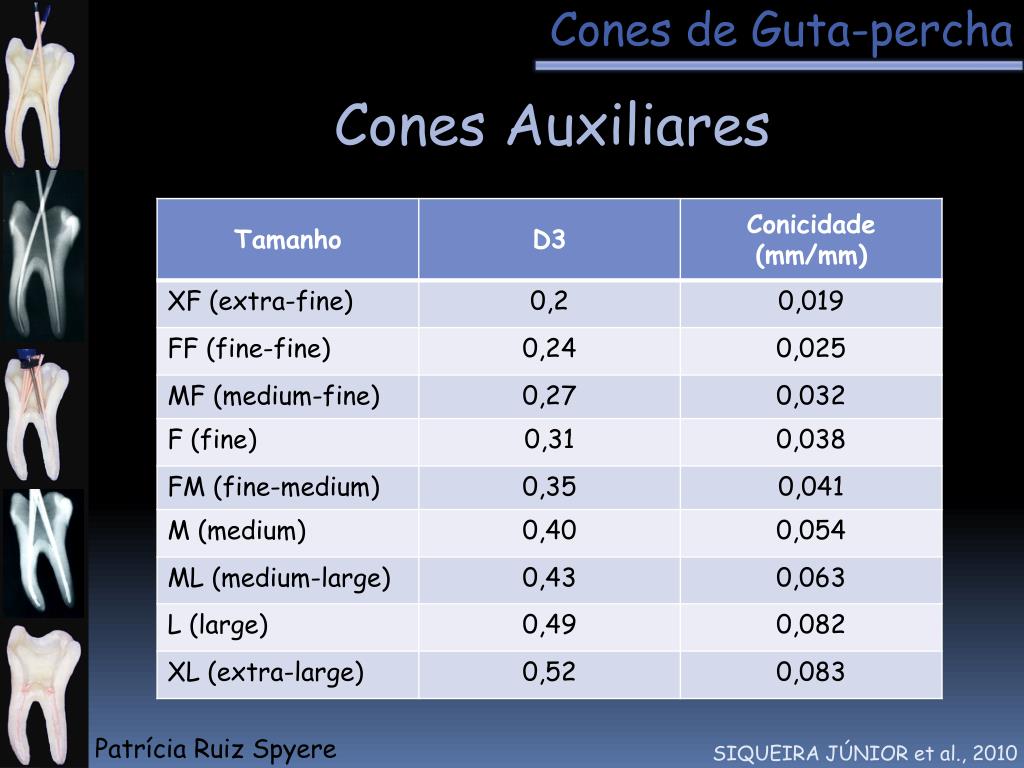 PPT - Obturação do Sistema de Canais Radiculares PowerPoint ...
