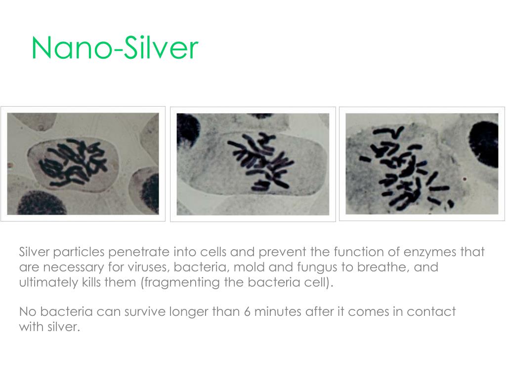 PPT - Equilibre | Nano Silver Cleanser for combination and oily skin ...