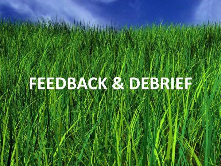 PPT - FEEDBACK & DEBRIEF PowerPoint Presentation, free download - ID ...