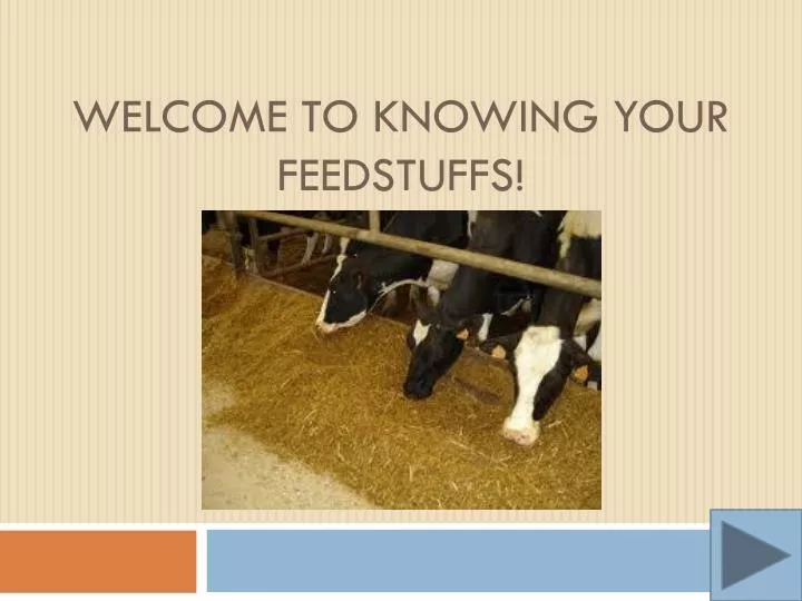 PPT - Welcome to Knowing Your Feedstuffs! PowerPoint Presentation, free ...