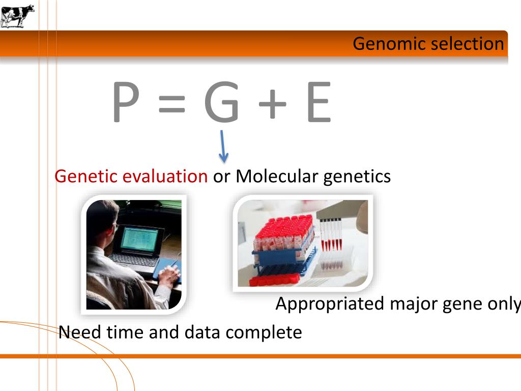 PPT - Animal Genetic Improvement in Tropical Area PowerPoint ...