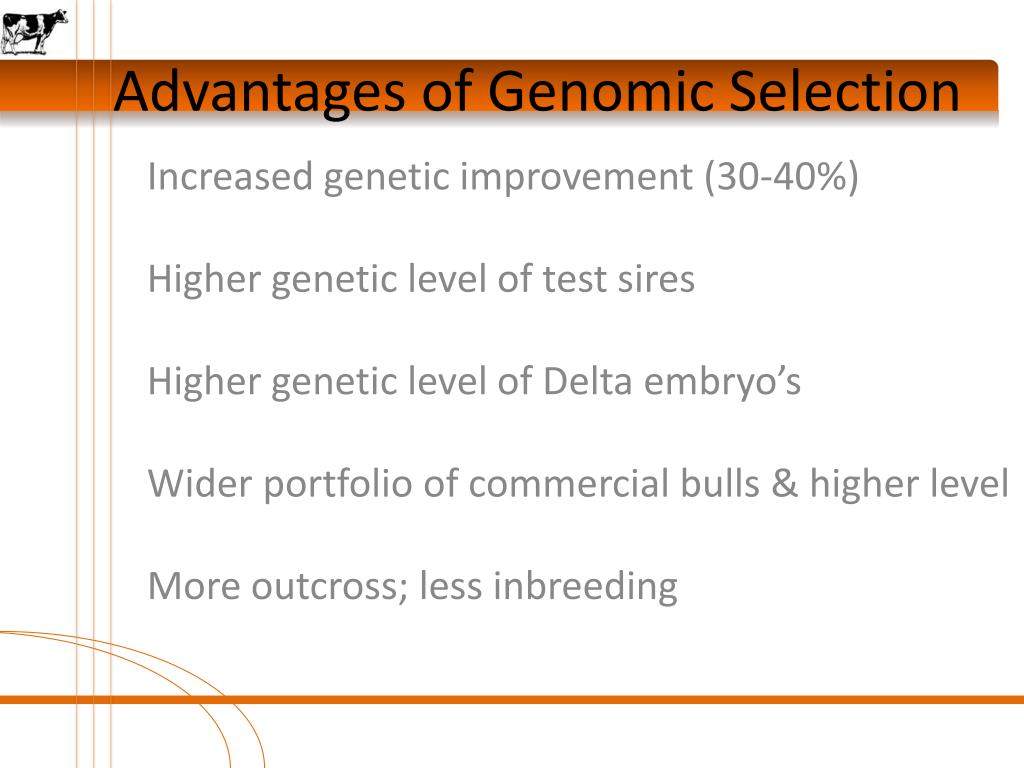PPT - Animal Genetic Improvement in Tropical Area PowerPoint ...