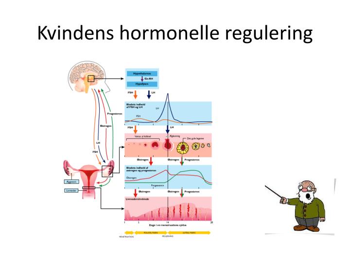 PPT - SEX – en nyttig opfindelse PowerPoint Presentation - ID:2346235