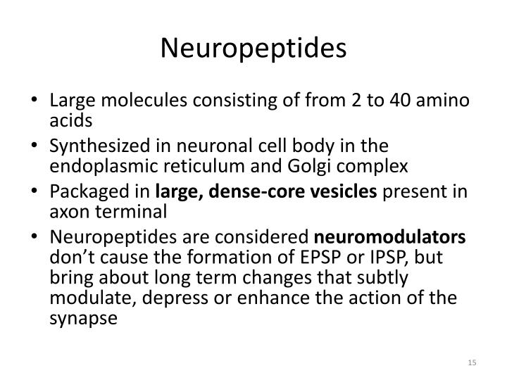 PPT - Synapse and Neurotransmitter PowerPoint Presentation - ID:2347038