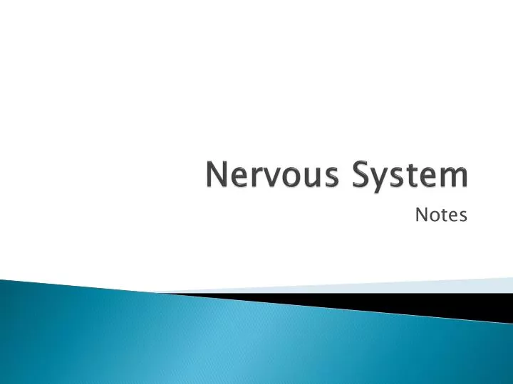 Ppt Nervous System Powerpoint Presentation Free Download Id 2347178