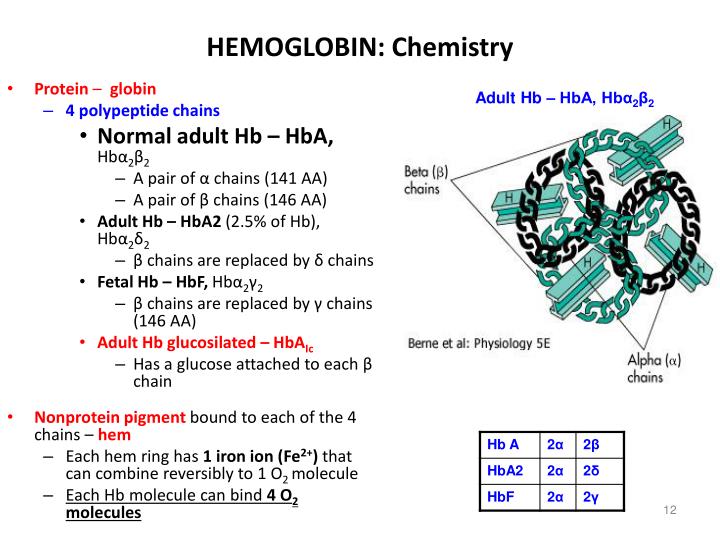 PPT - BLOOD 2 RED BLOOD CELLS JAUNDICE ANEMIA & POLYCYTHEMIA PowerPoint ...