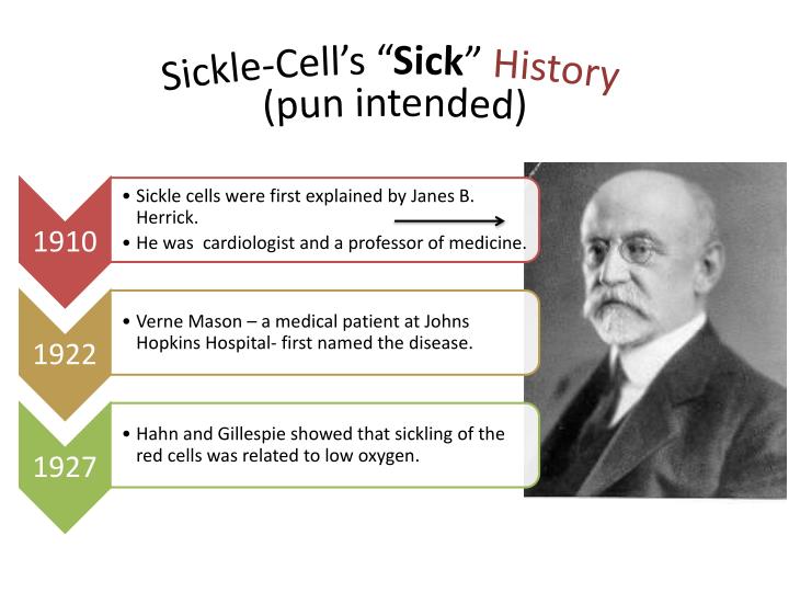 PPT - Sickle- Cell Anemia PowerPoint Presentation - ID:2347727