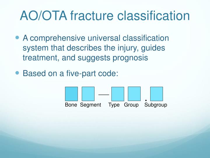PPT - Principles of Fractures & Fracture Management PowerPoint ...