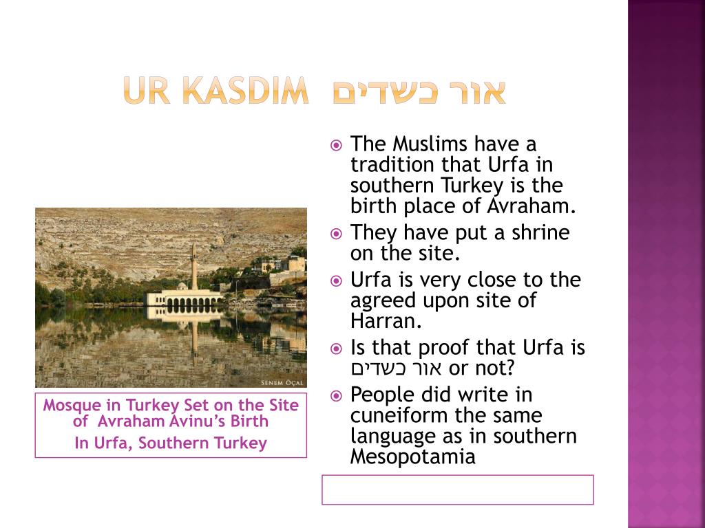 PPT - The Avos PowerPoint Presentation, free download - ID:2348094