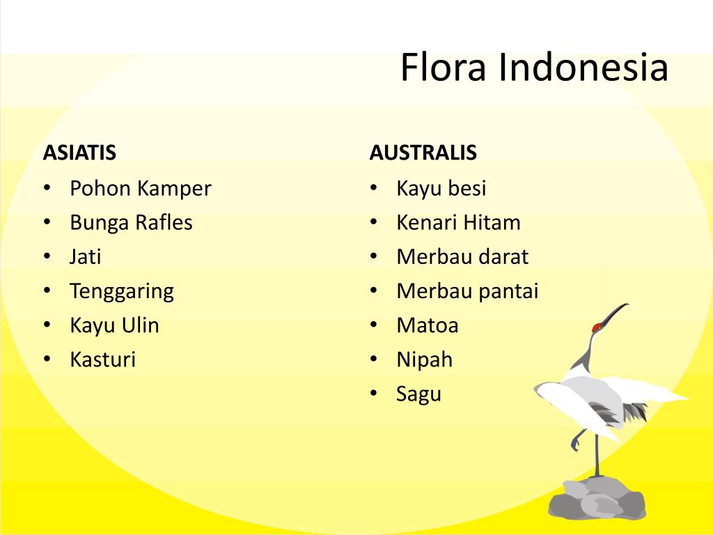 PPT - ANALISA BIOGEOGRAFI & SOSIOANTROPOLOGI WILAYAH JAWA BARAT ...