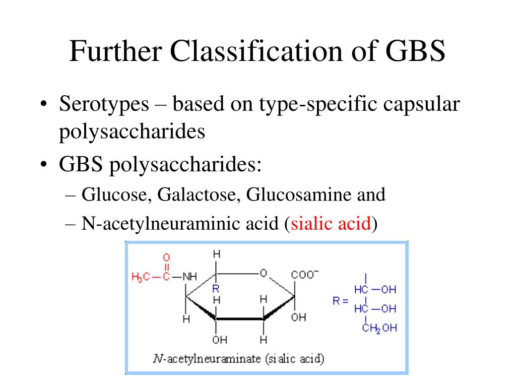 PPT - Group B Streptococci A Newborn’s Greatest Threat? PowerPoint ...