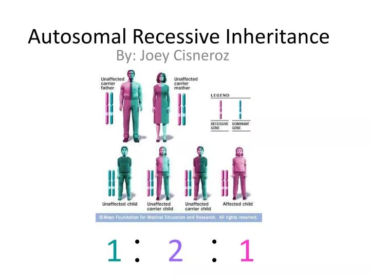 PPT - Autosomal Recessive Inheritance PowerPoint Presentation, free ...