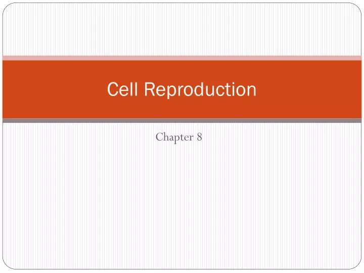 PPT - Cell Reproduction PowerPoint Presentation, free download - ID:2348850