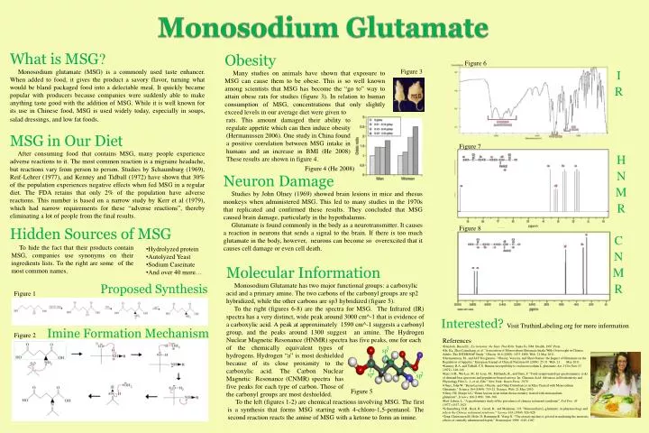 PPT - Monosodium Glutamate PowerPoint Presentation, free download - ID ...