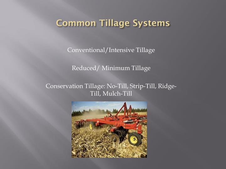 PPT - Field And forage crop seedbed preparation PowerPoint Presentation ...