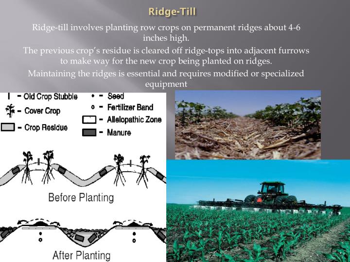 PPT - Field And forage crop seedbed preparation PowerPoint Presentation ...