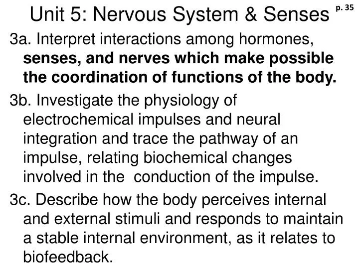 PPT - Unit 5: Nervous System & Senses PowerPoint Presentation, free ...