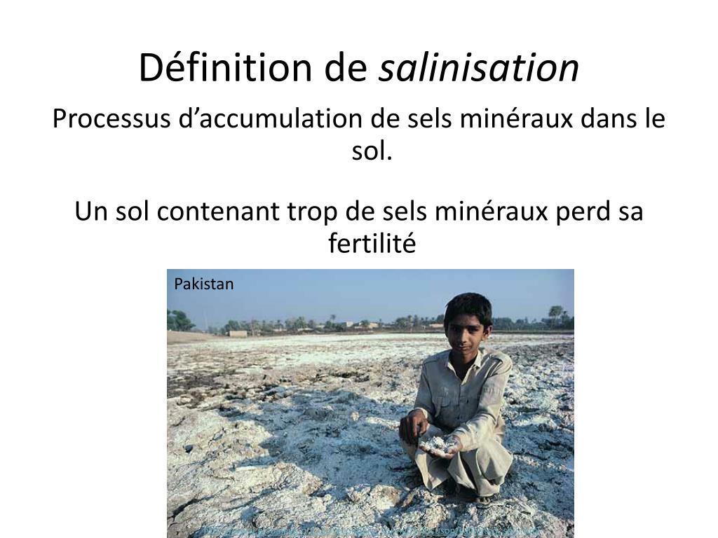 PPT - Territoire 5 territoire agricole à risque PowerPoint Presentation ...