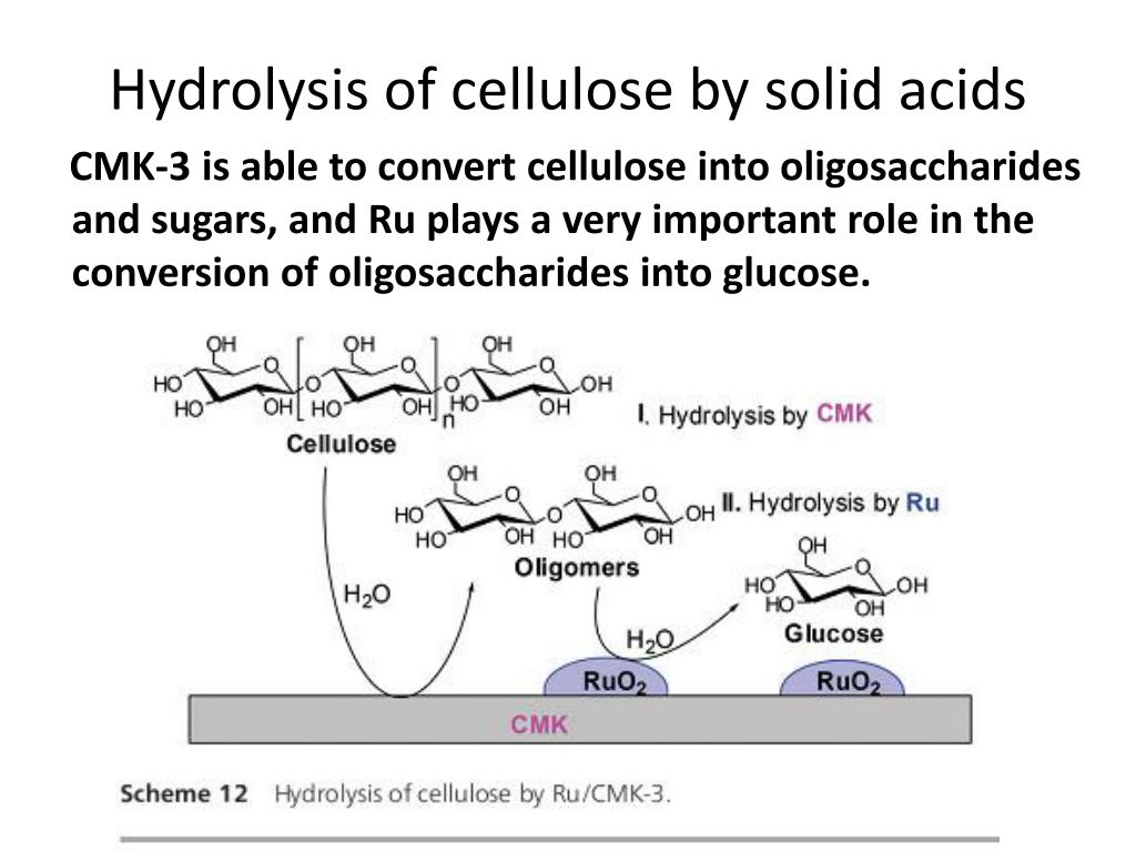 PPT - Hydrolysis of cellulose to glucose by solid acid catalysts ...