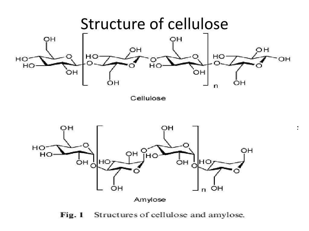 PPT - Hydrolysis of cellulose to glucose by solid acid catalysts ...