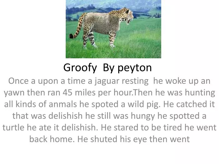 PPT - Groofy By peyton PowerPoint Presentation, free download - ID:2349937