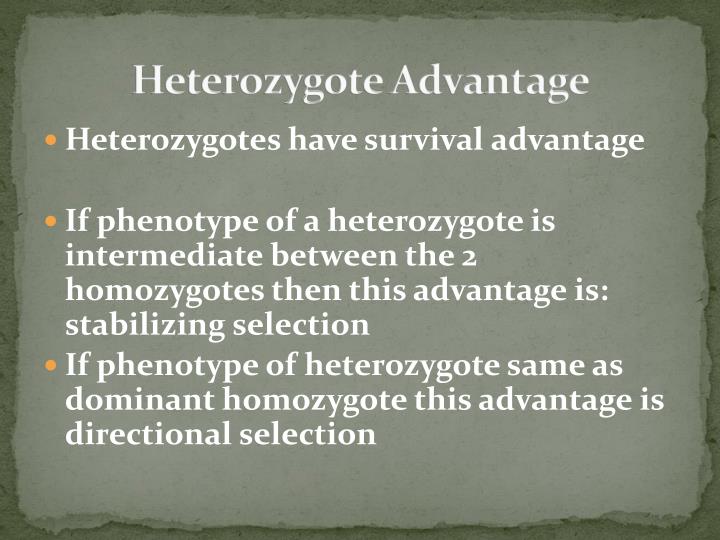 PPT - AP Biology Chapter 23 The Evolution of Populations PowerPoint ...
