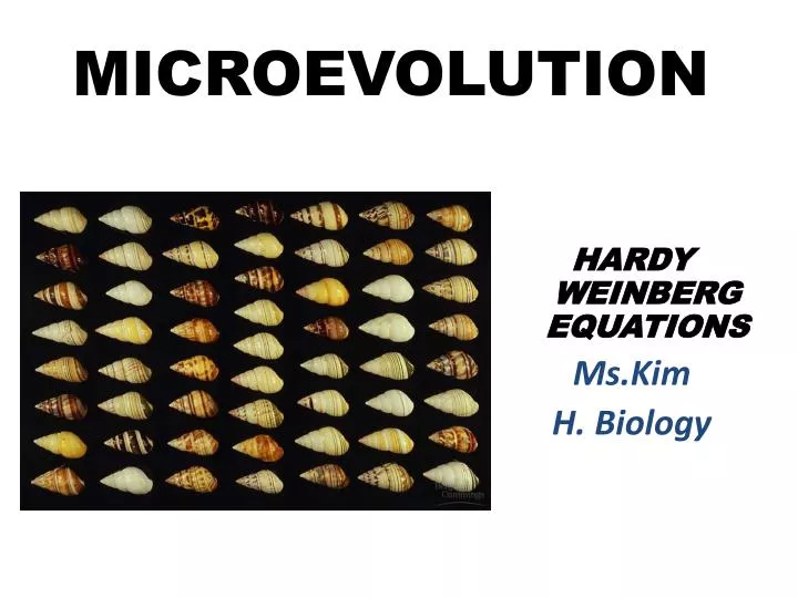 PPT - MICROEVOLUTION PowerPoint Presentation, free download - ID:2350337