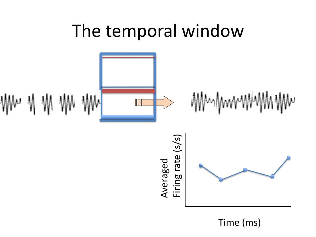 PPT - Temporal coding and Temporal resolution PowerPoint Presentation ... PPT - Temporal coding and Temporal resolution PowerPoint Presentation ...