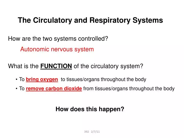 PPT - The Circulatory and Respiratory Systems PowerPoint Presentation ...