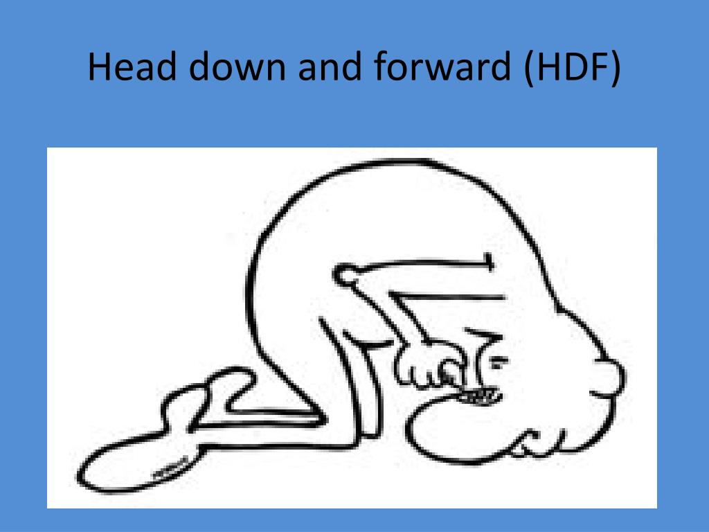 PPT - The best method of topical nasal drug delivery PowerPoint ...