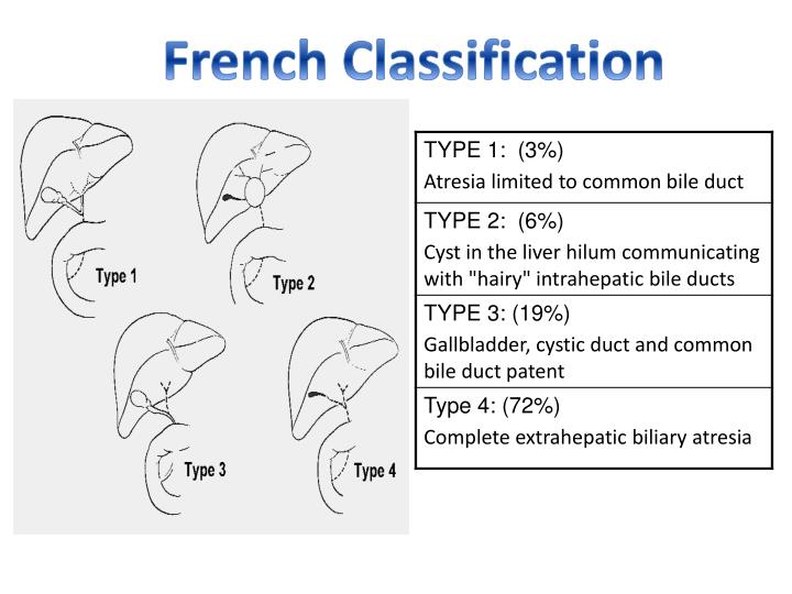 PPT - Types of Biliary Atresia PowerPoint Presentation - ID:2351152
