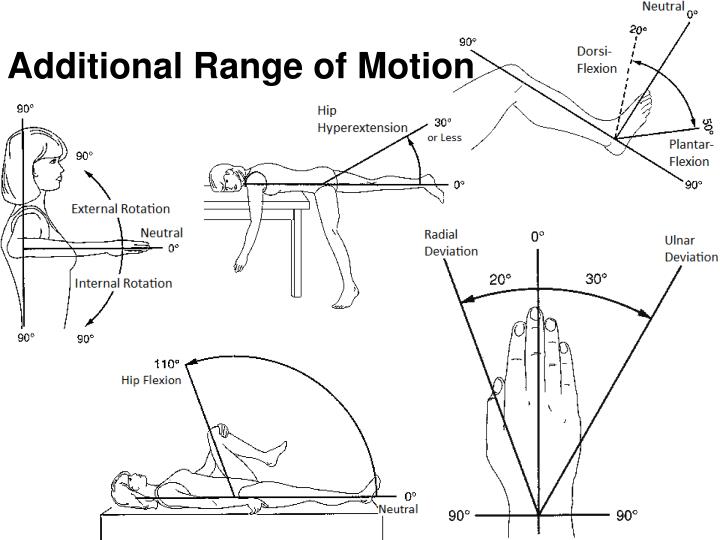 PPT - Medical Terminology Anatomical Position, Directional Terms and ...