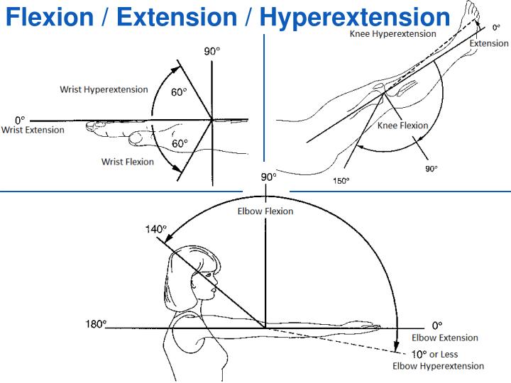 PPT - Medical Terminology Anatomical Position, Directional Terms and ...