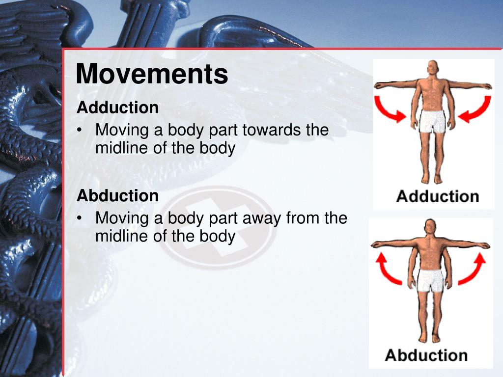 PPT - Medical Terminology Anatomical Position, Directional Terms and ...