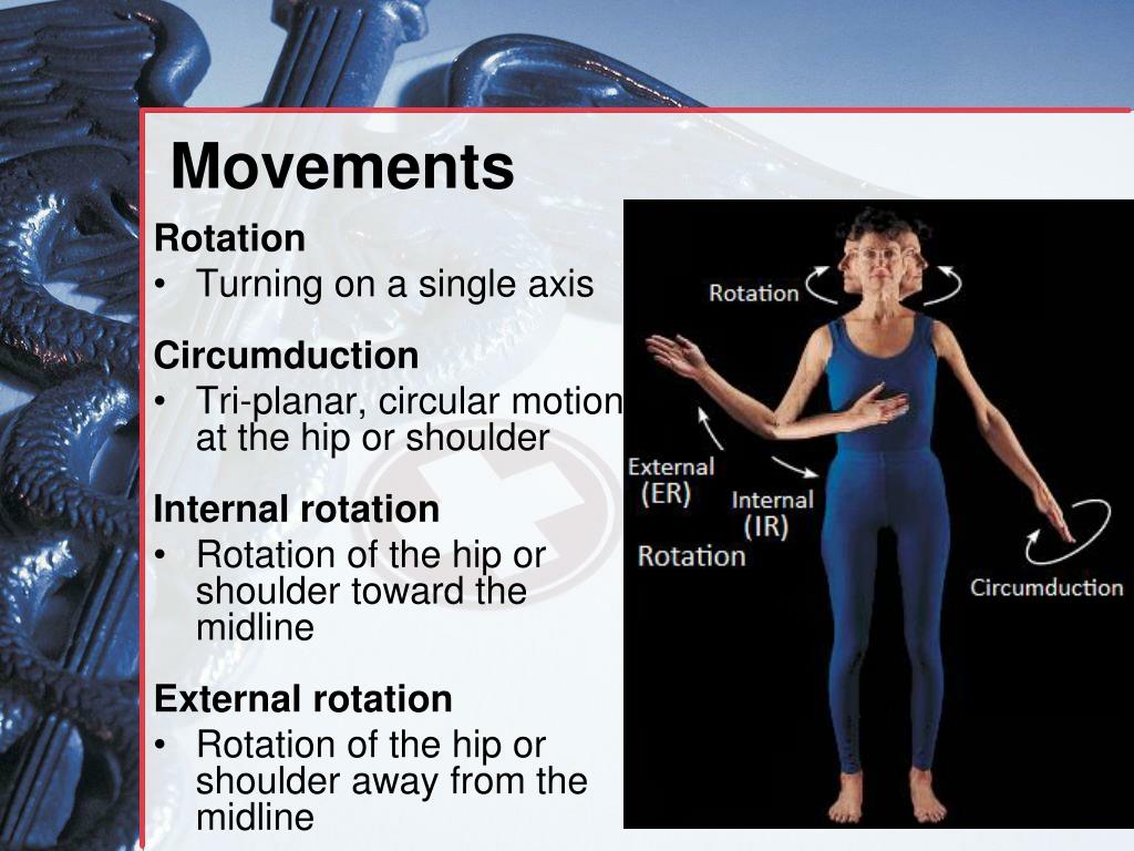 PPT - Medical Terminology Anatomical Position, Directional Terms and ...